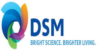 Accédez à l'Organigramme de DSM FRANCE